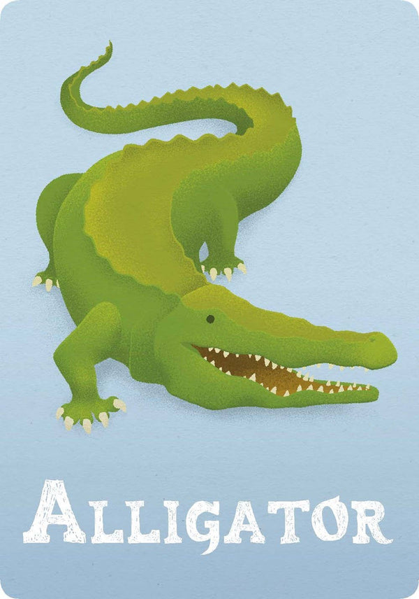 All About Florida: ABCs of the Sunshine State Flash Cards – Cami Monet