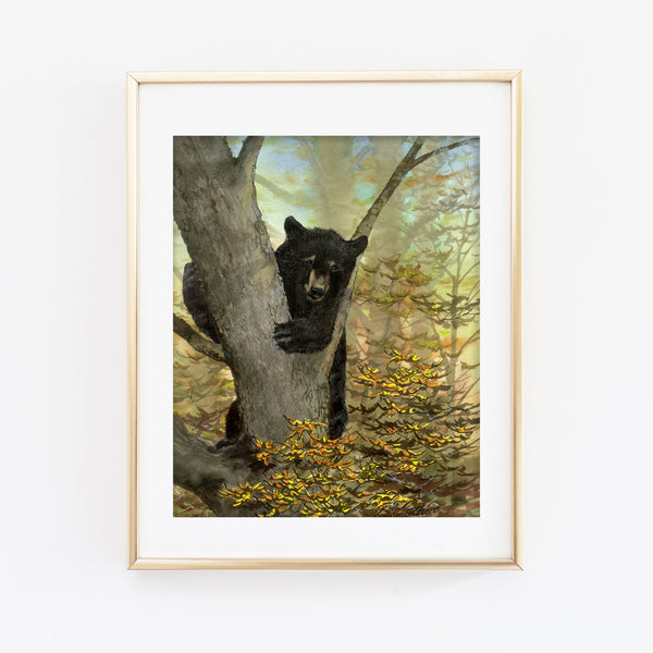 "Mountain Hope" by Cami Monet x "Treehugger" by G. Webb (Hurricane ...