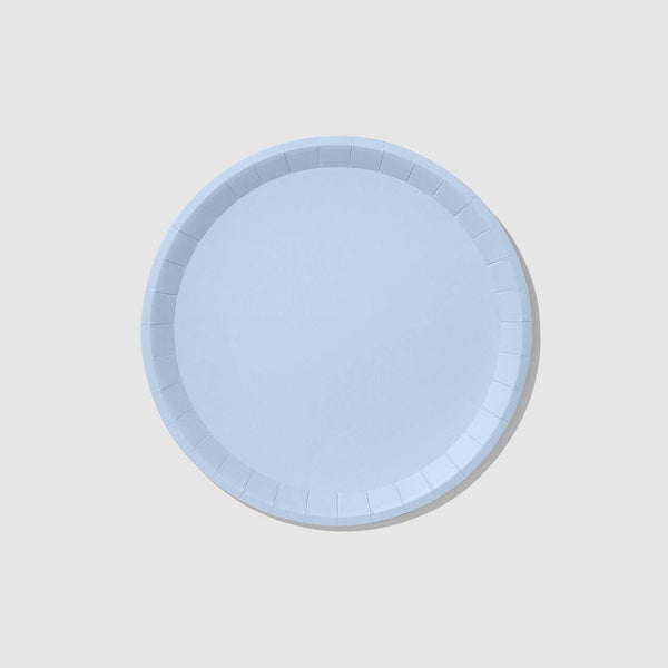 Pale Blue Large Paper Party Plates – Cami Monet